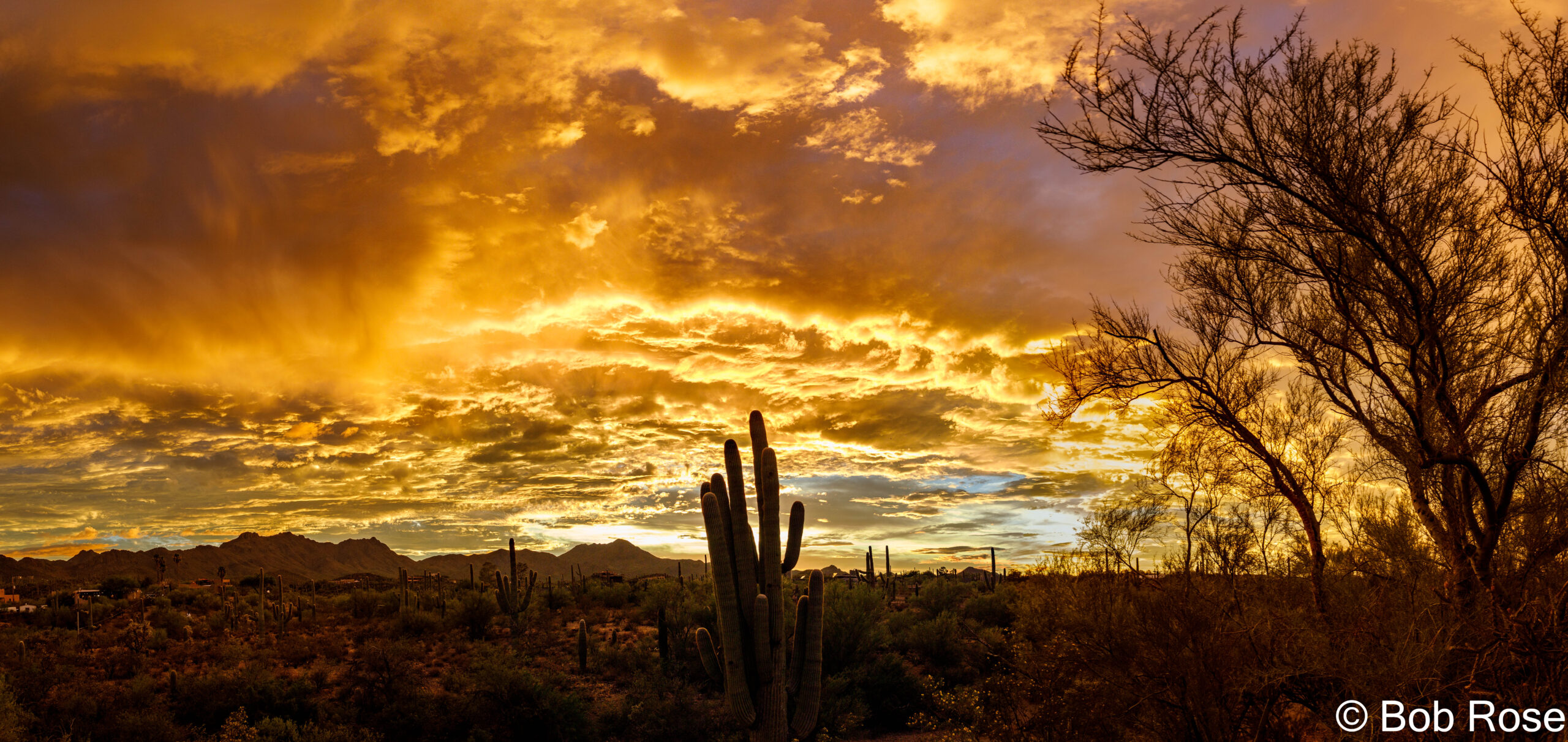 Tropical Storm in the Sonoran Desert – Bobs Astronomy