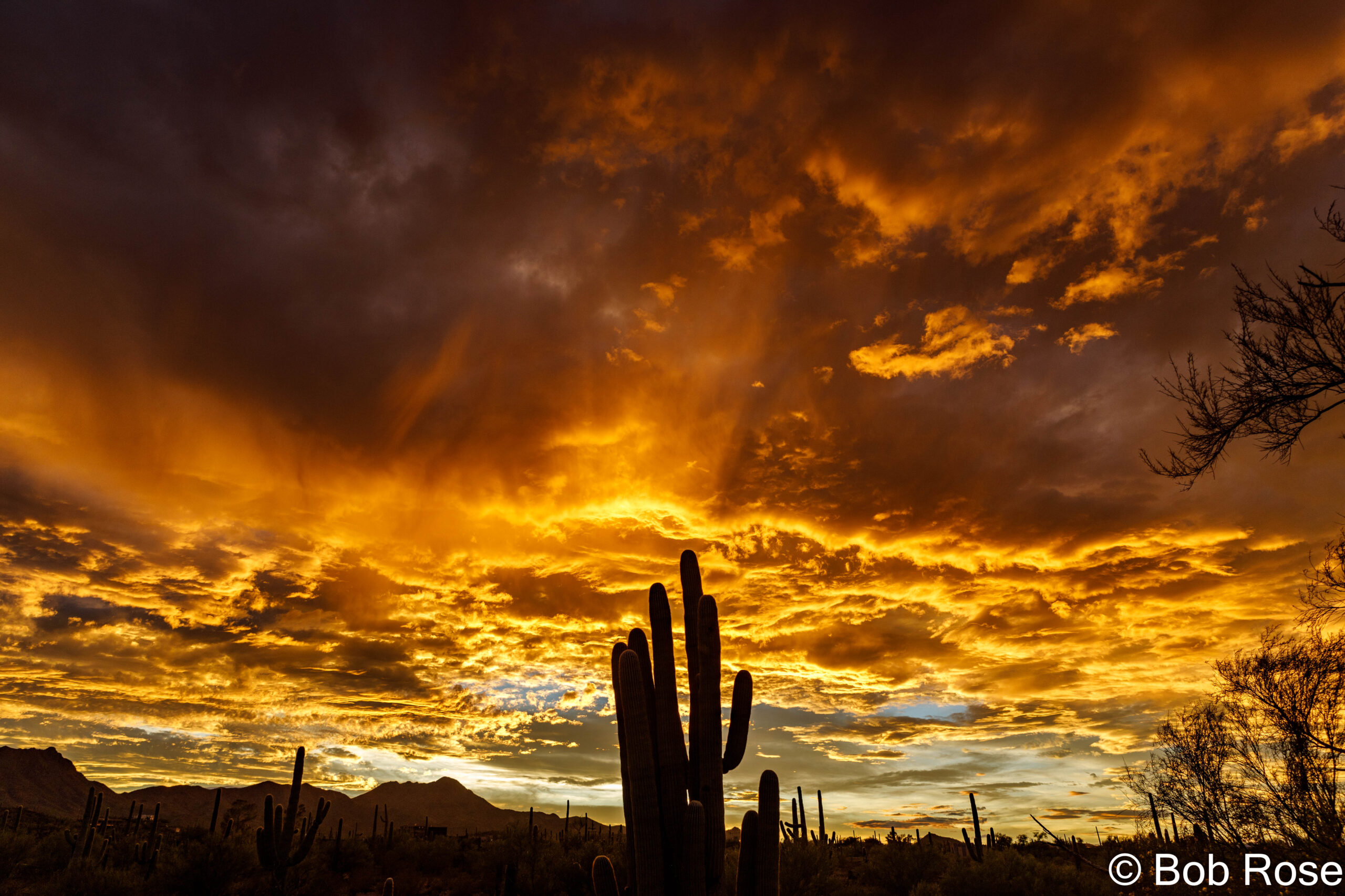 Tropical Storm in the Sonoran Desert – Bobs Astronomy